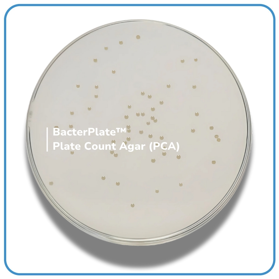 BacterPlate™ Plate Count Agar (PCA) - Bacterlab