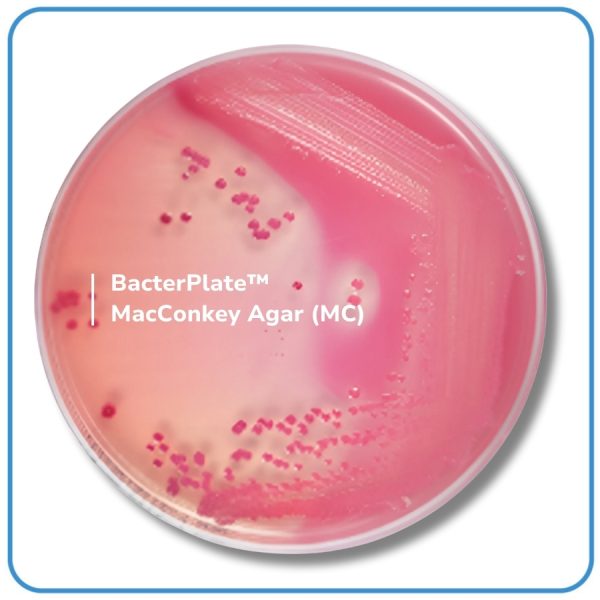 BacterPlate™ MacConkey Agar (MC) - Bacterlab