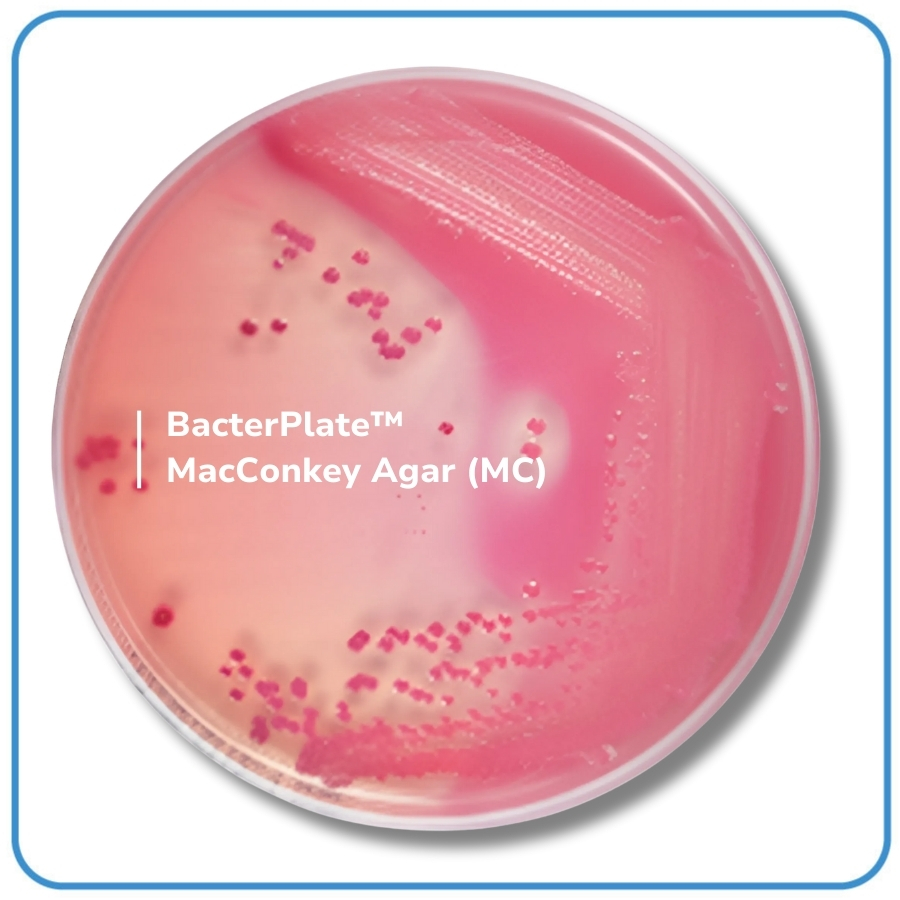BacterPlate™ MacConkey Agar (MC) - Bacterlab