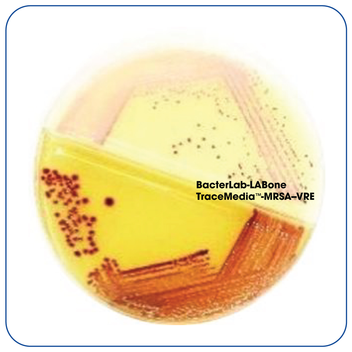 TraceMedia™ MRSA/ VRE - Bacterlab