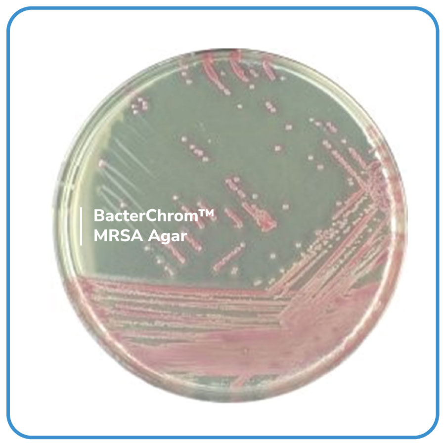 BacterChrom™ MRSA Agar Plates - Bacterlab