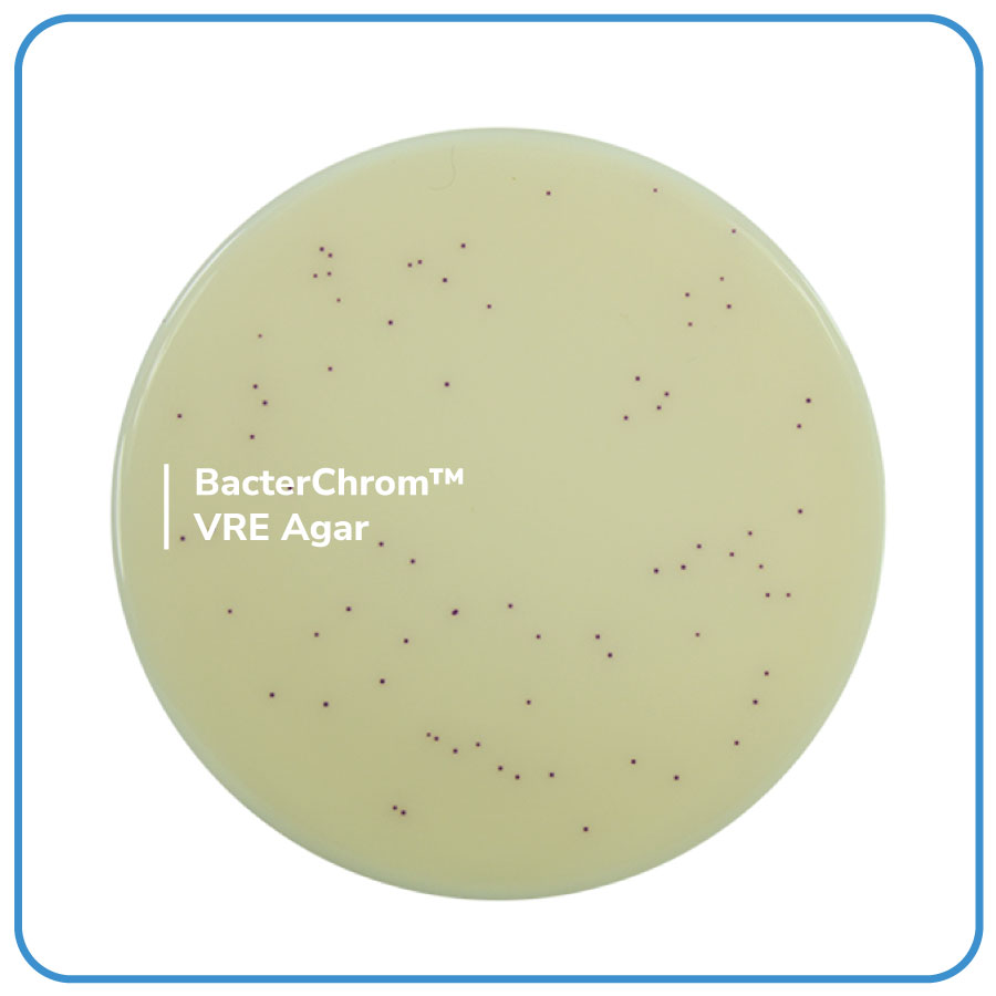 BacterChrom™ VRE Agar Plates - Bacterlab