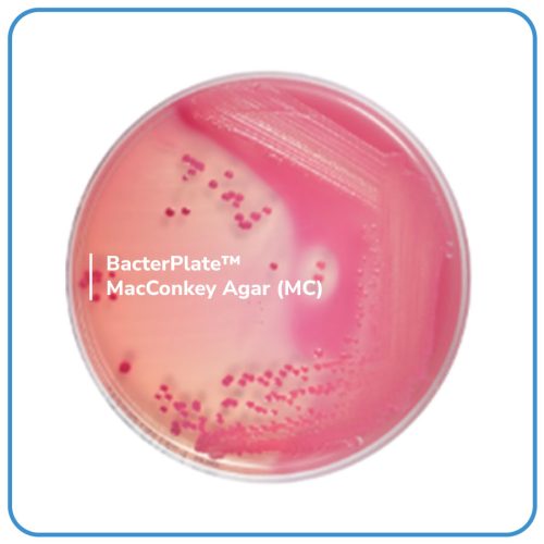 BacterPlate™ Baird Parker Agar (BPA) - Bacterlab