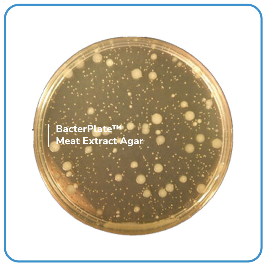 BacterPlate™ Meat Extract Agar - Bacterlab