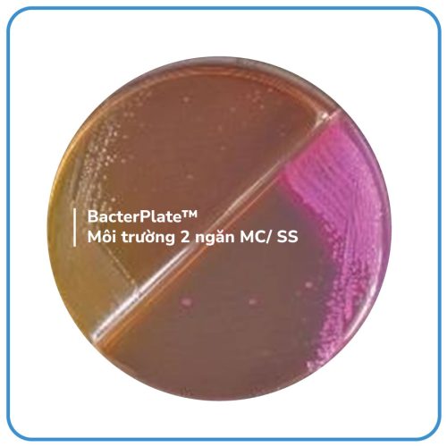 TraceMedia™ MacConkey Agar/ Samonella Shigella Agar - Bacterlab