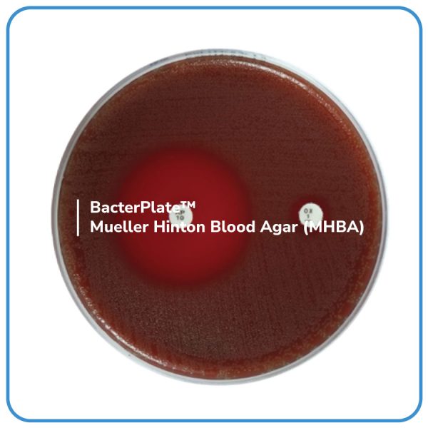 TraceMedia™ Mueller Hinton Blood Agar - Bacterlab