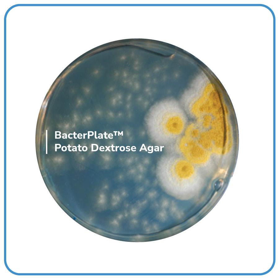 BacterPlate™ Potato Dextrose Agar - Bacterlab