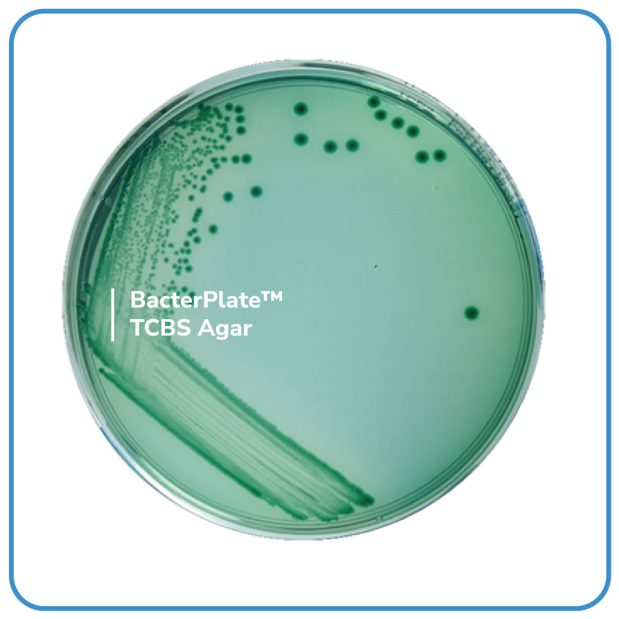 TraceMedia™ TCBS Agar - Bacterlab