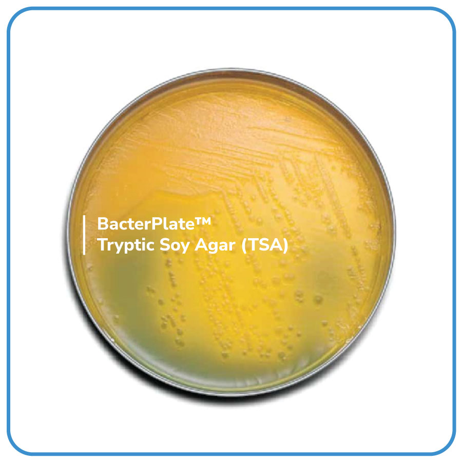 BacterPlate™ Tryptic Soy Agar (TSA) - Bacterlab