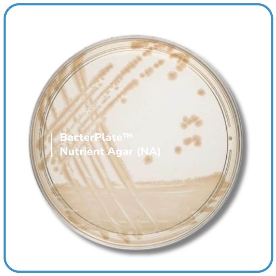 BacterPlate™ Nutrient Agar (NA) - Bacterlab