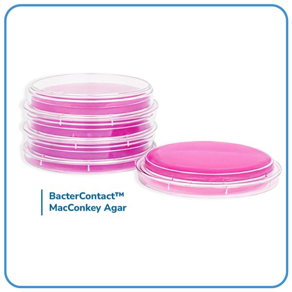 BacterContact™ MacConkey Agar - Bacterlab