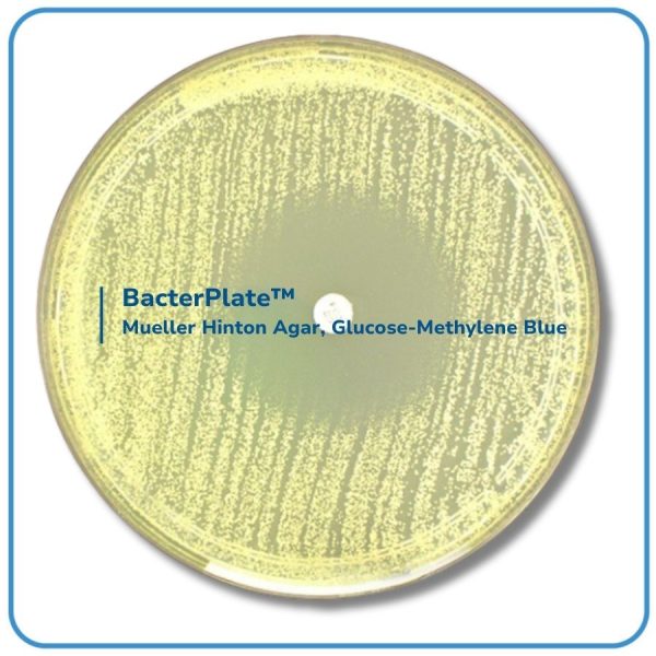 BacterPlate™ Mueller Hinton Agar, Glucose-Methylene Blue - Bacterlab