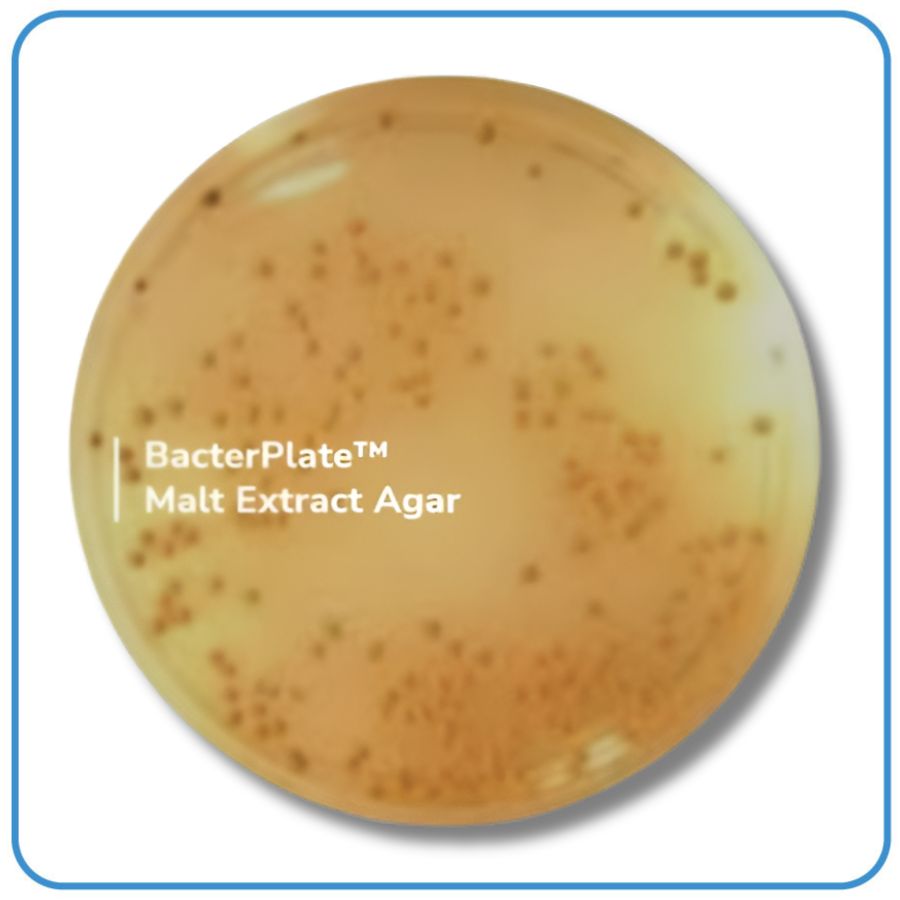 BacterPlate™ Malt Extract Agar - Bacterlab
