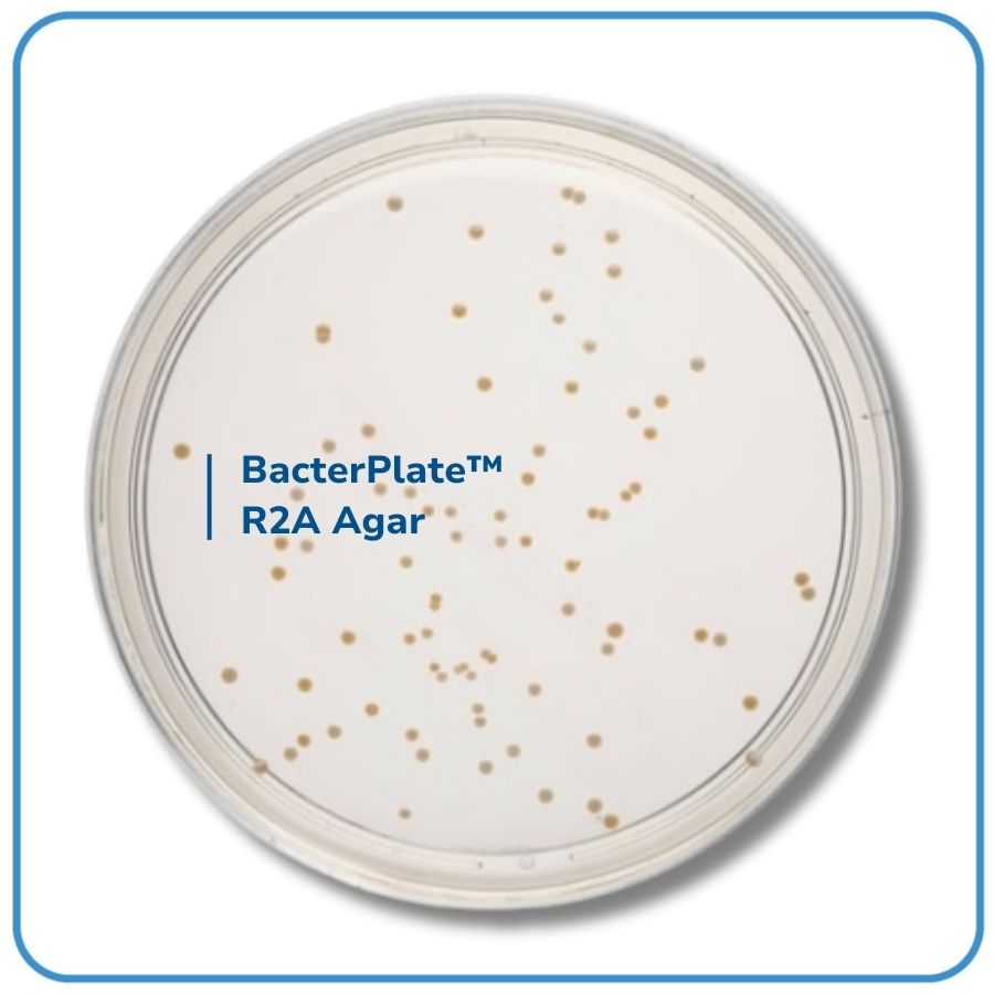 BacterPlate™ R2A Agar - Bacterlab