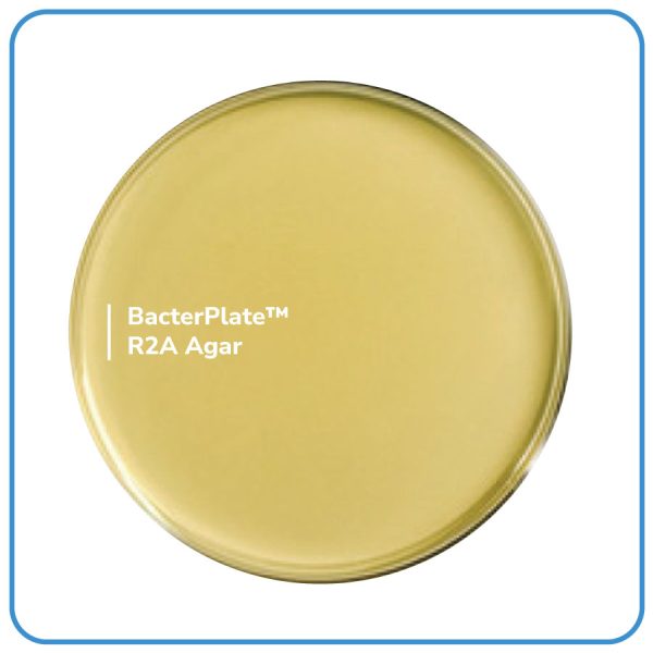 BacterPlate™ Baird Parker Agar (BPA) - Bacterlab