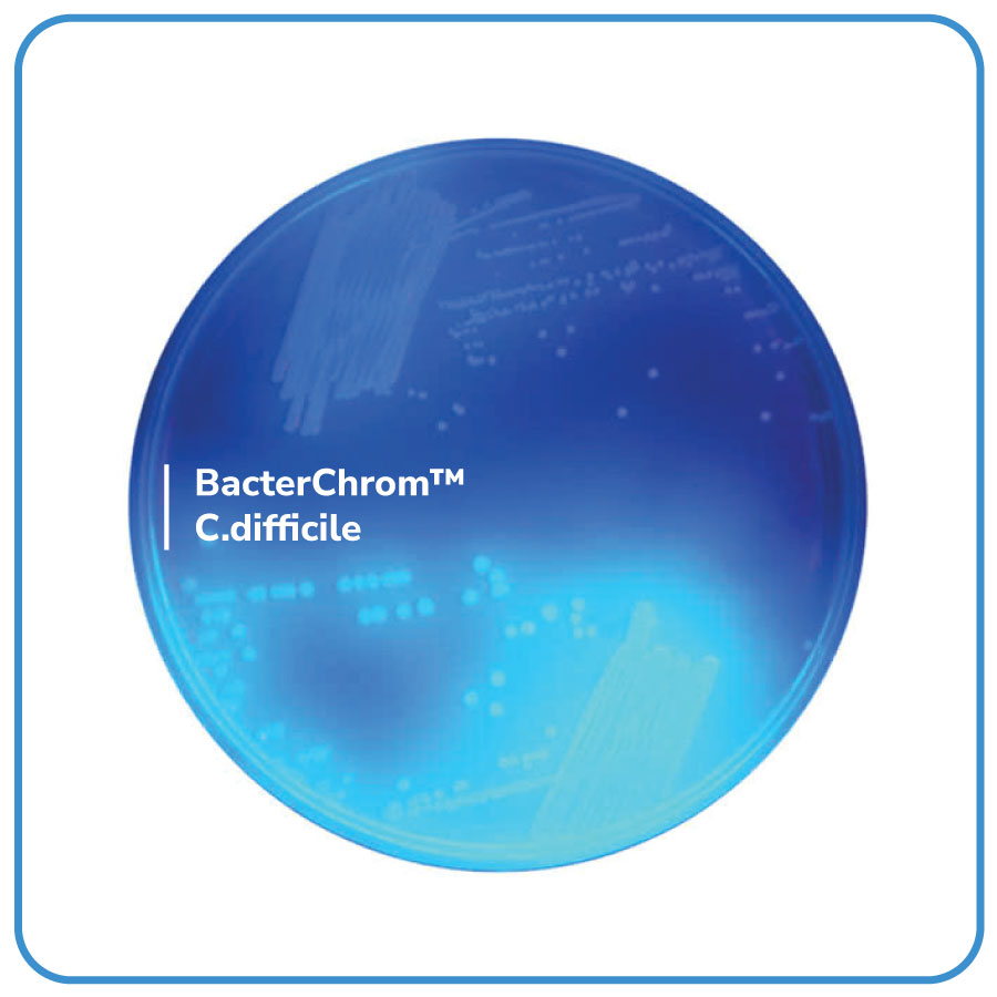 BacterChrom™ C.difficile Plates - Bacterlab