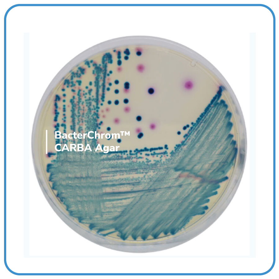 BacterChrom™ CARBA Agar Plates - Bacterlab