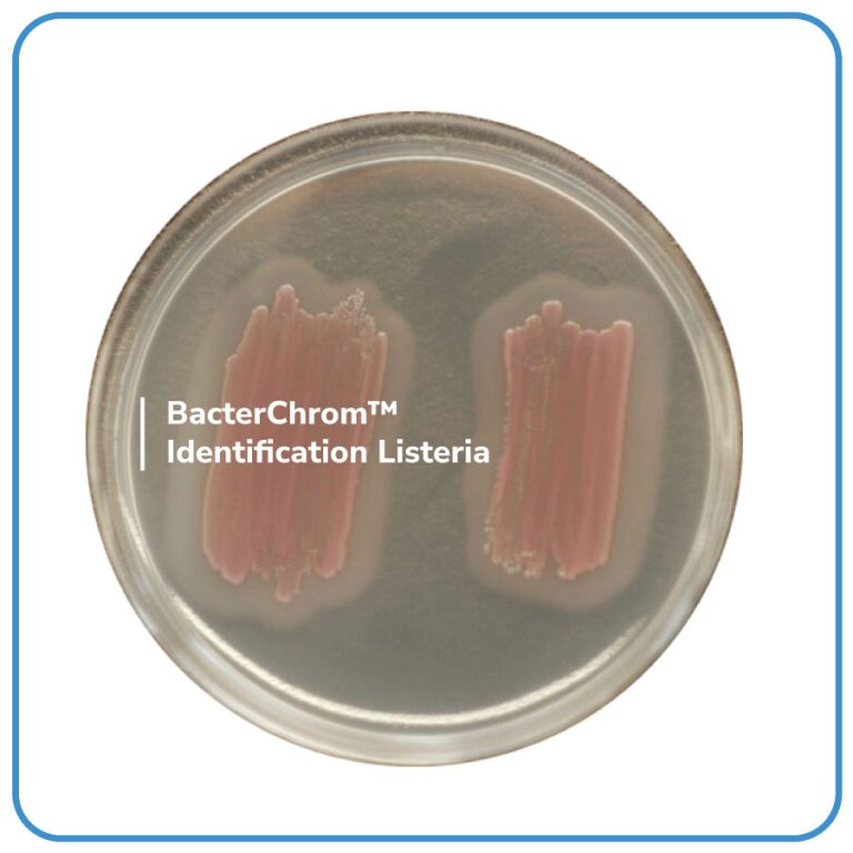 BacterChrom™ Identification Listeria Plates - Bacterlab