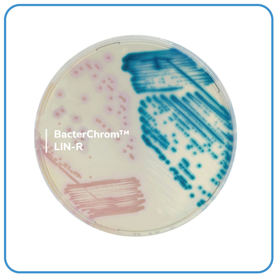 BacterChrom™ LIN-R Plates - Bacterlab