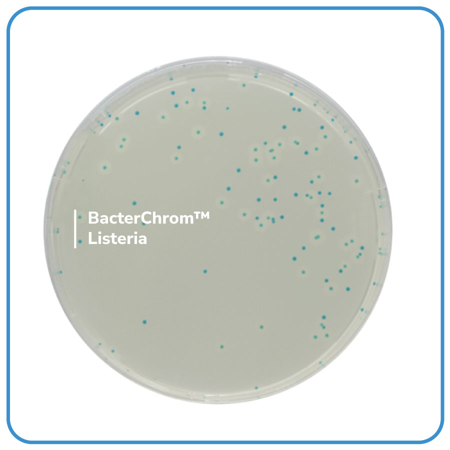 BacterChrom™ Listeria Plates - Bacterlab