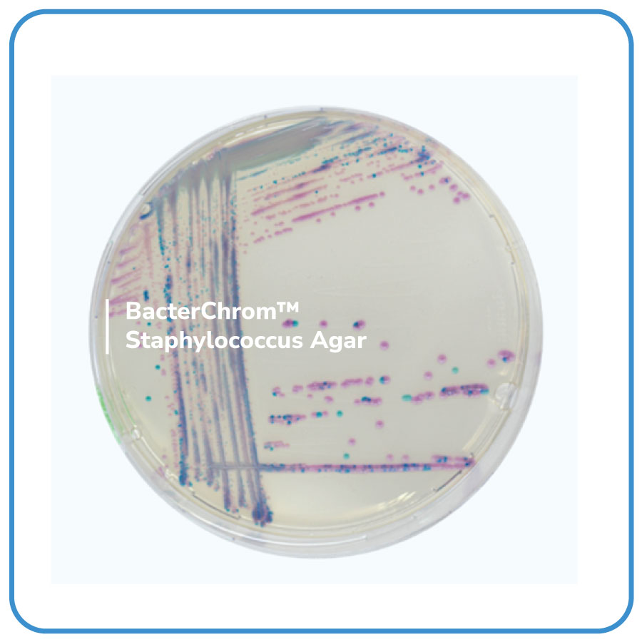 BacterChrom™ Staphylococcus Agar - Bacterlab