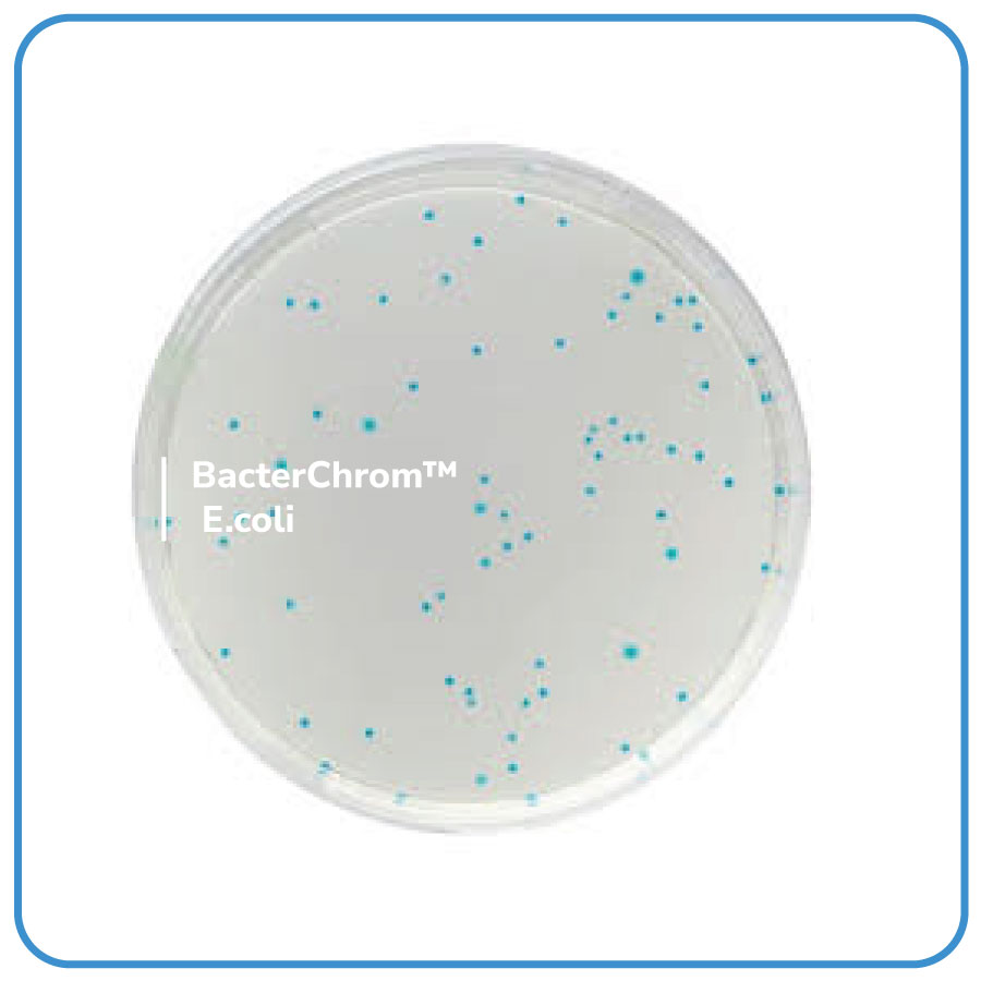 BacterChrom™ E.coli Plates - Bacterlab