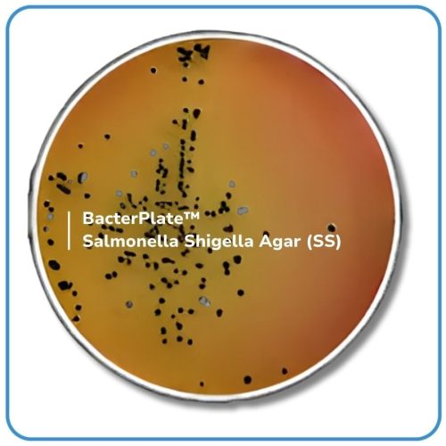 BacterPlate™ Salmonella Shigella Agar (SS) - LABone Scientific Co.Ltd.,