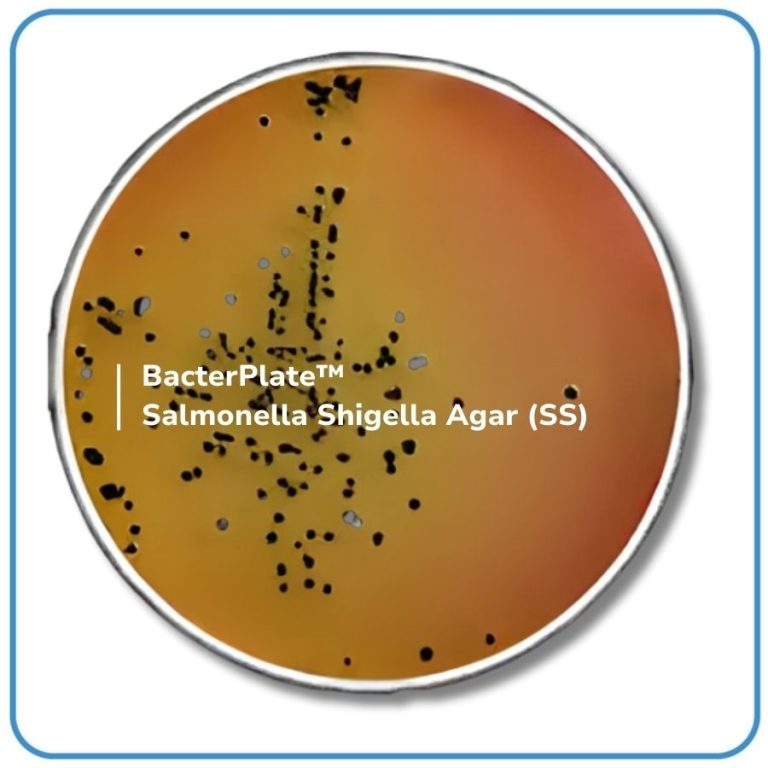 BacterPlate™ Salmonella Shigella Agar (SS) - LABone Scientific Co.Ltd.,