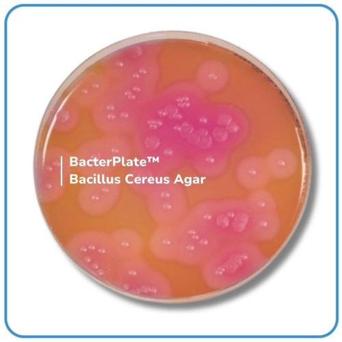 BacterPlate™ Bacillus Cereus Agar - LABone Scientific Co.Ltd.,