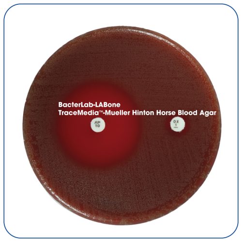 TraceMedia™ Mueller Hinton Horse Blood Agar - LABone Scientific Co.Ltd.,
