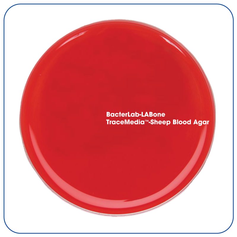 TraceMedia™ Sheep Blood Agar - LABone Scientific Co.Ltd.,