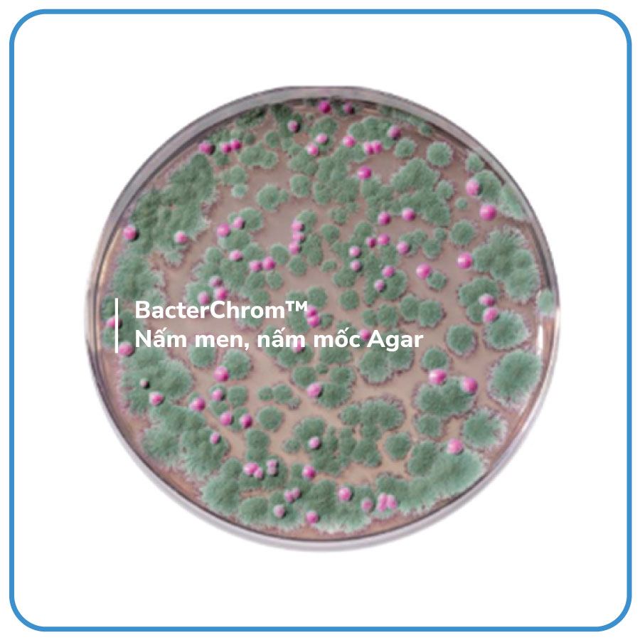 BacterChrom™ Staph aureus Agar - LABone Scientific Co.Ltd.,