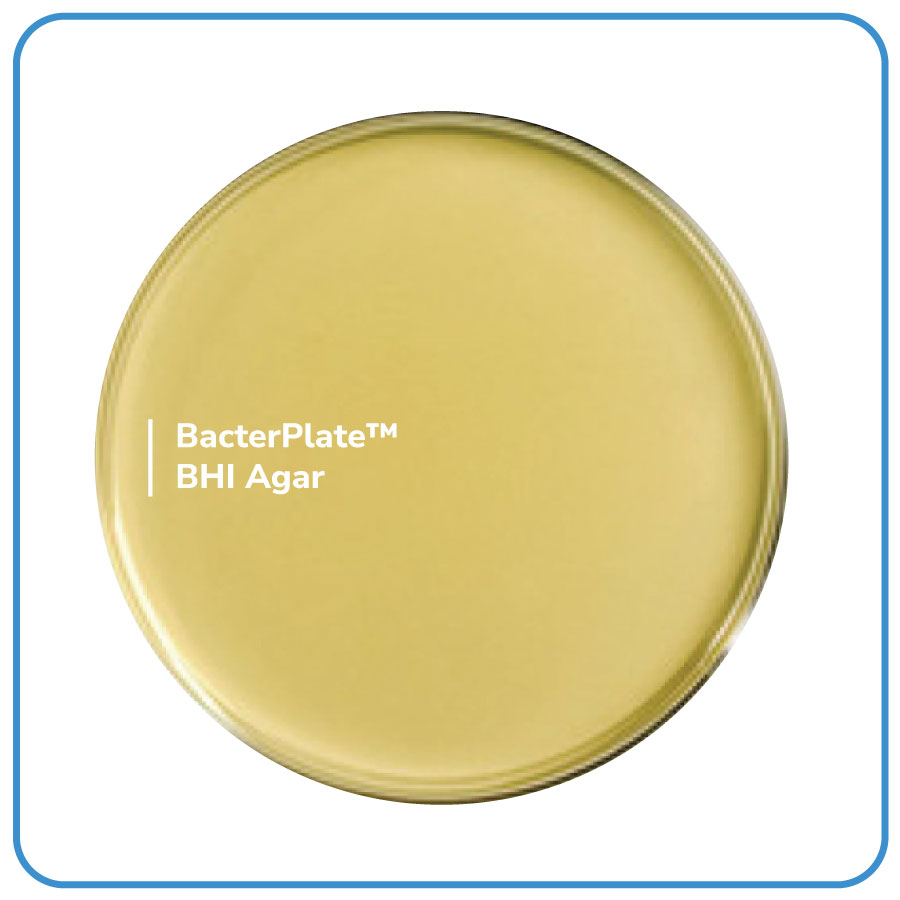 BacterPlate™ BHI Agar - LABone Scientific Co.Ltd.,