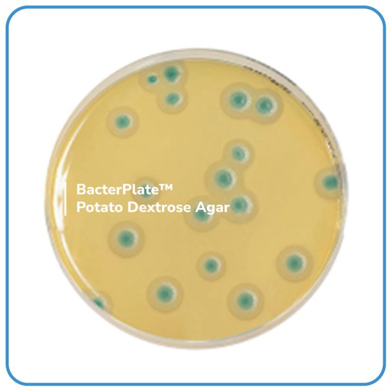 BacterPlate™ Mannitol Salt Agar (MSA) - LABone Scientific Co.Ltd.,