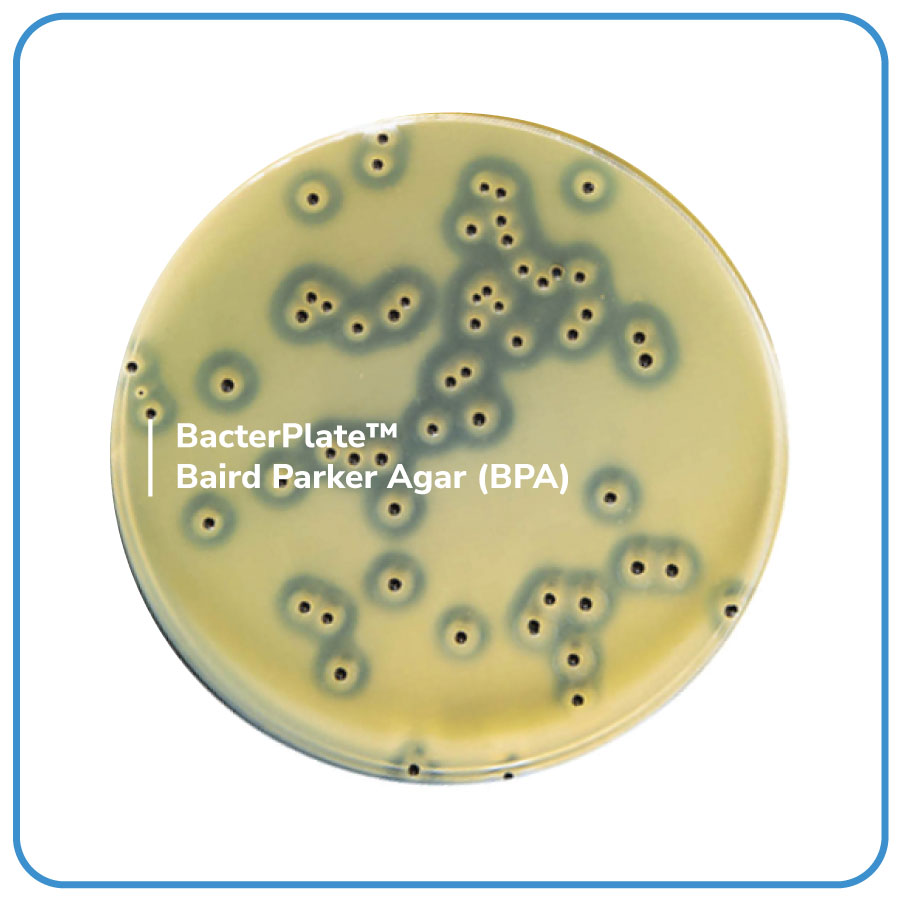 BacterPlate™ Baird Parker Agar (BPA) - LABone Scientific Co.Ltd.,