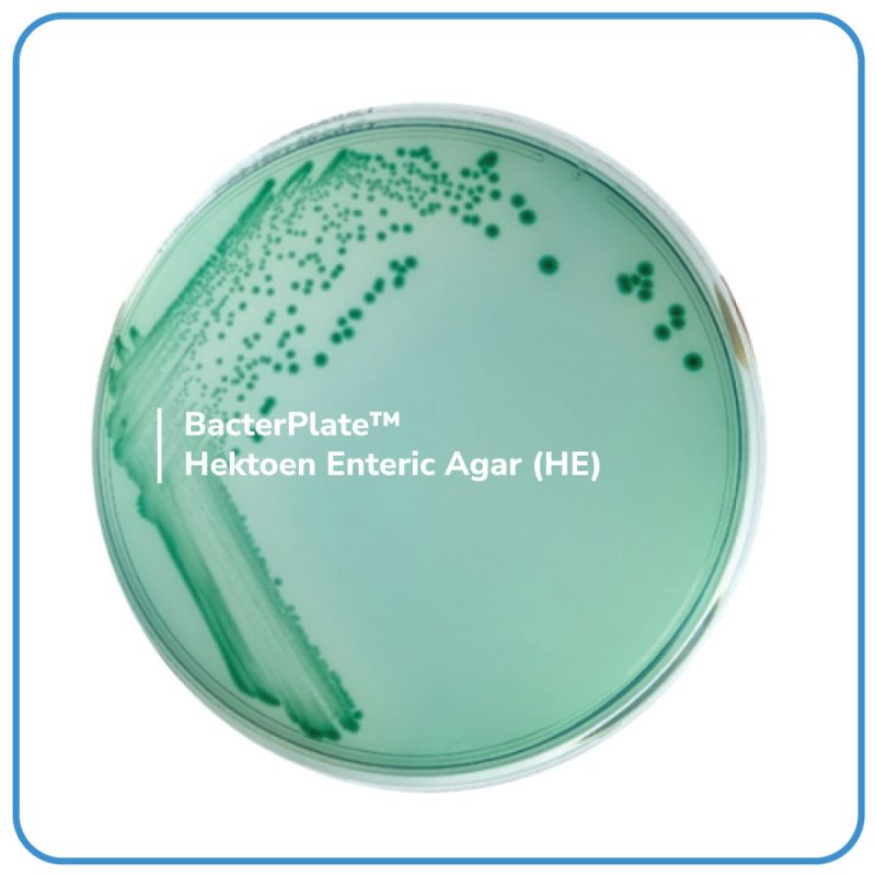 TraceMedia™ Hektoen Enteric Agar - LABone Scientific Co.Ltd.,