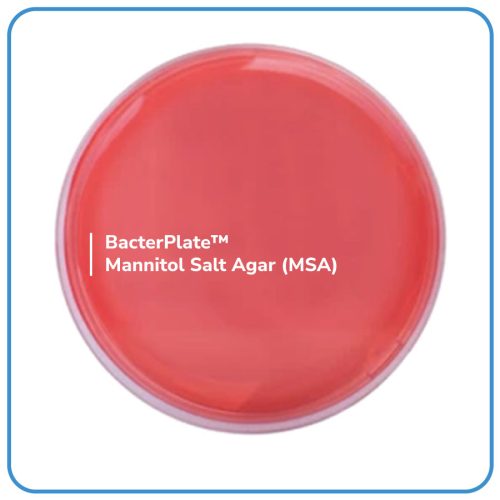 BacterPlate™ Mannitol Salt Agar (MSA) - LABone Scientific Co.Ltd.,