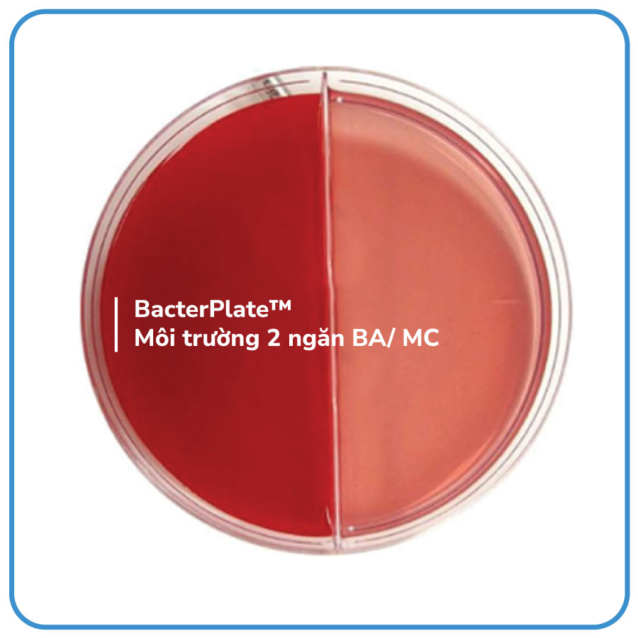BacterPlate™ Môi trường 2 ngăn BA/ MC - LABone Scientific Co.Ltd.,