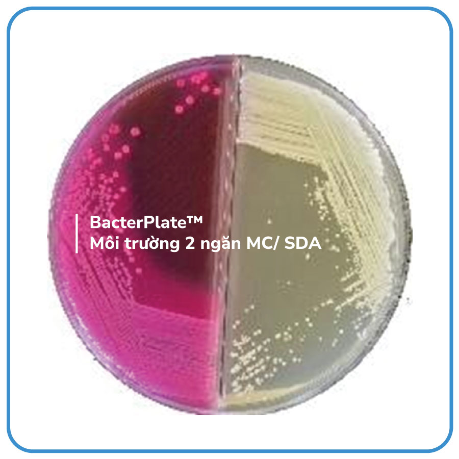 BacterPlate™ Môi trường 2 ngăn MC/ SDA - LABone Scientific Co.Ltd.,