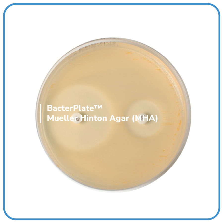 TraceMedia™ Mueller Hinton Agar - LABone Scientific Co.Ltd.,