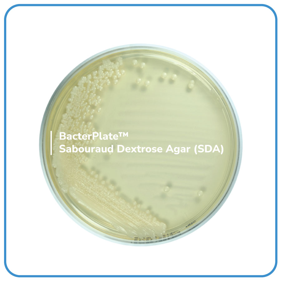 BacterPlate™ Sabouraud Dextrose Agar (SDA) - LABone Scientific Co.Ltd.,