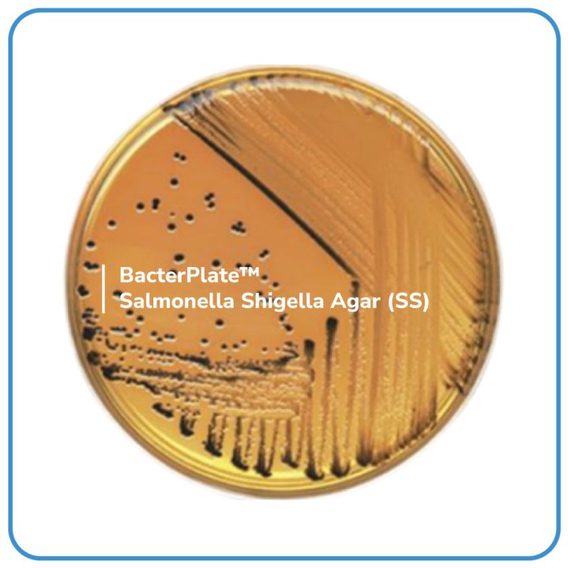 BacterPlate™ Salmonella Shigella Agar (SS) - LABone Scientific Co.Ltd.,