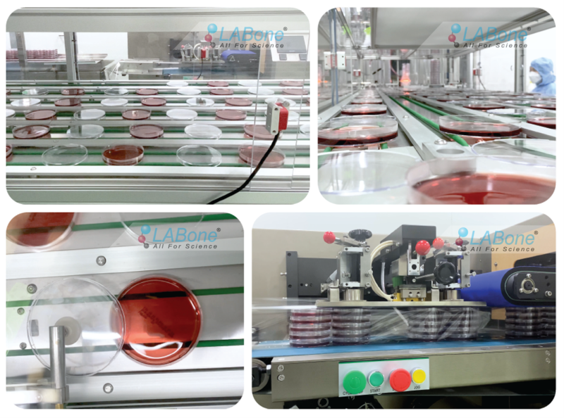 Phân loại môi trường nuôi cấy vi sinh - LABone Scientific Co.Ltd.,