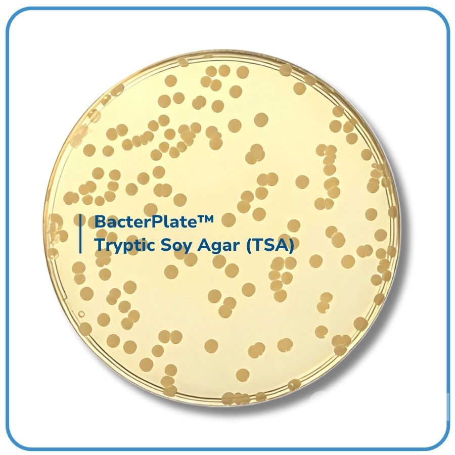 BacterChrom™ StrepB Agar Plates - LABone Scientific Co.Ltd.,