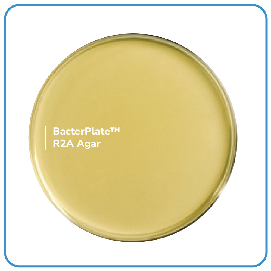 BacterPlate™ R2A Agar - LABone Scientific Co.Ltd.,
