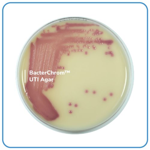 BacterChrom™ UTI Agar Plates - LABone Scientific Co.Ltd.,