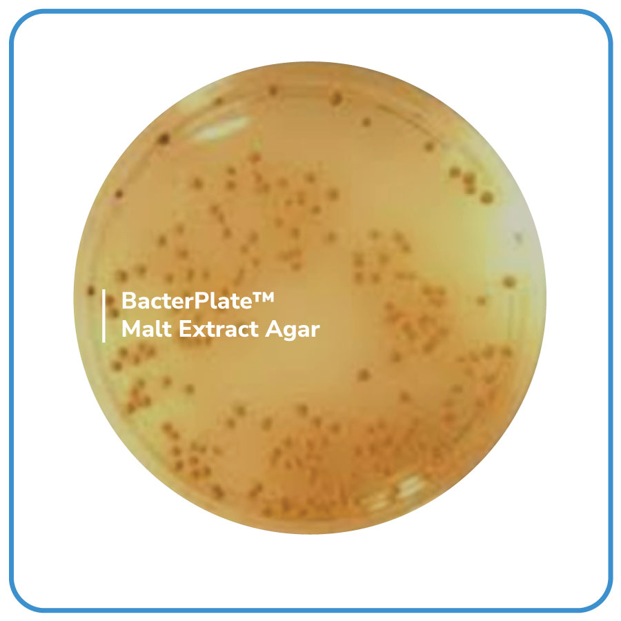BacterPlate™ Malt Extract Agar - LABone Scientific Co.Ltd.,
